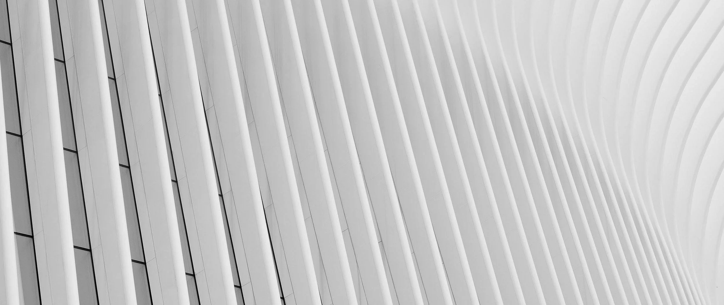 PORTFOLIO — Blue Centurion