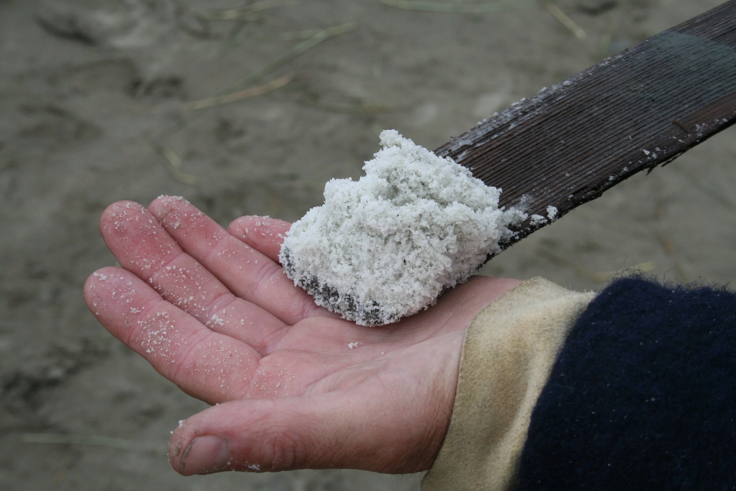 General 2 — Seaside Museum & Historical Society