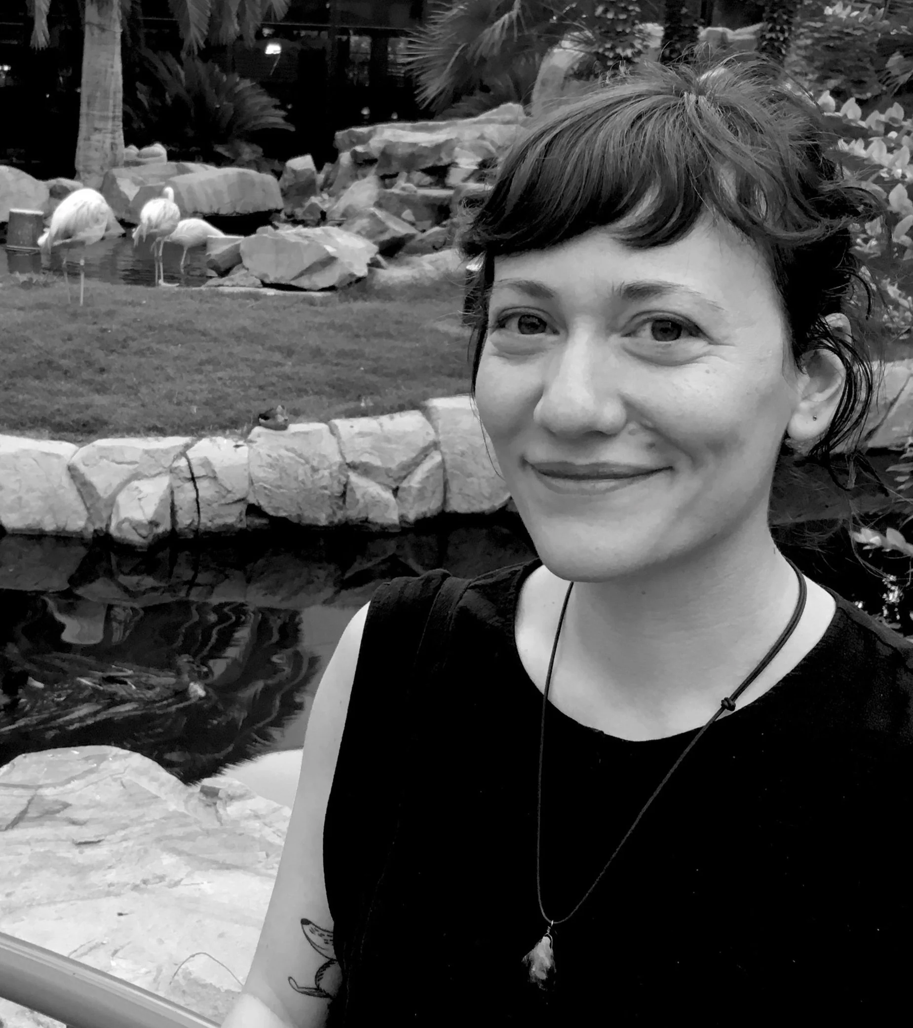 Bio — AMY BERKOWITZ