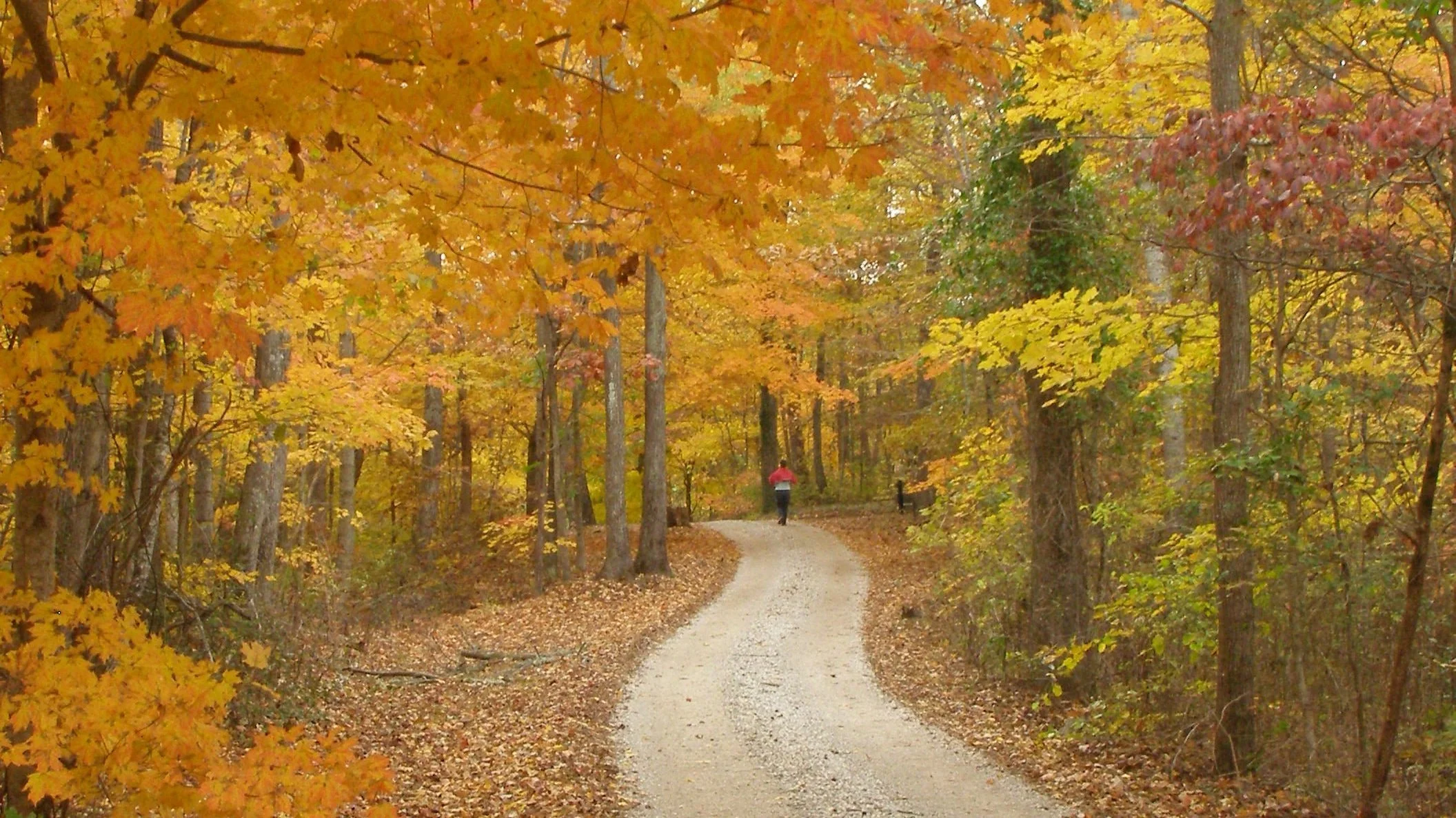 To Create - Answering the Call Weekend Retreat — St. Mary's Sewanee