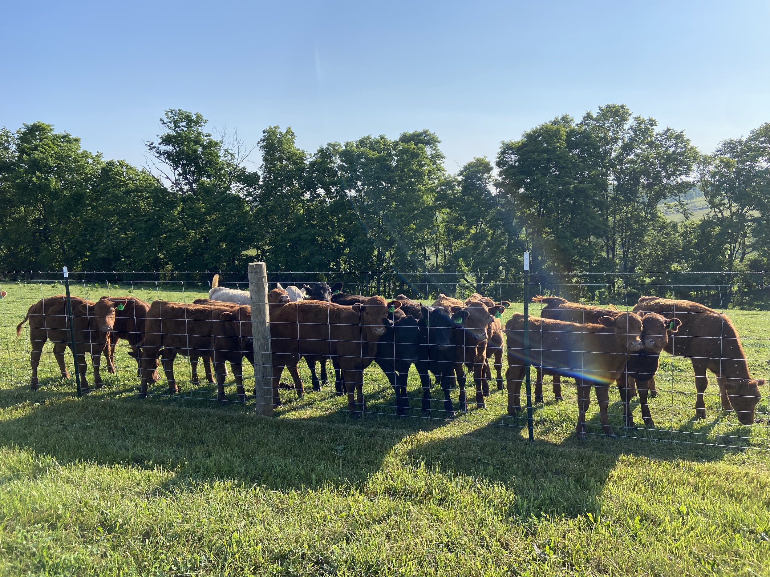 About — Harrison Harvesting