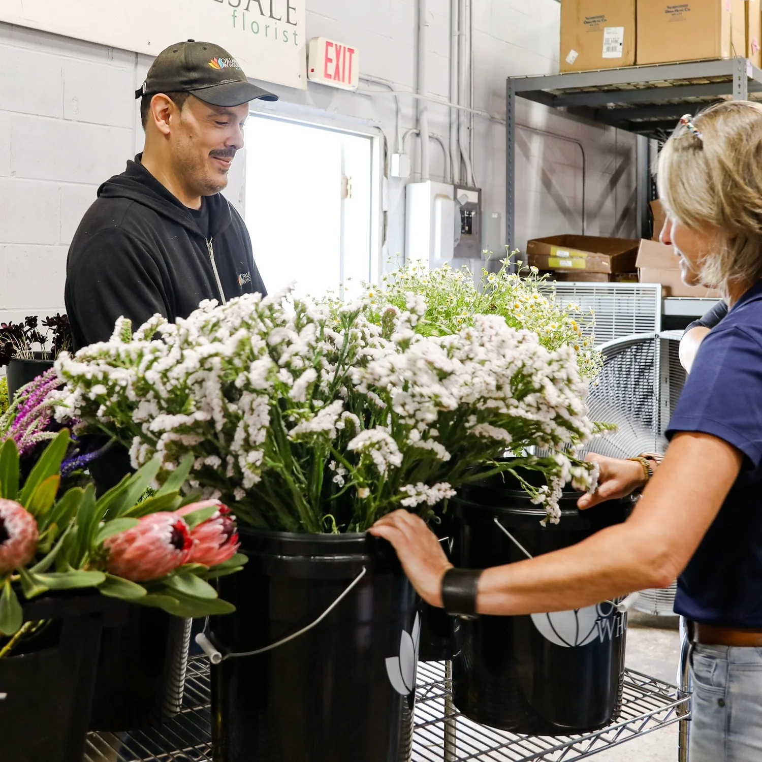 What Are Filler Flowers? | DIY Flower Mart | Orlando, FL