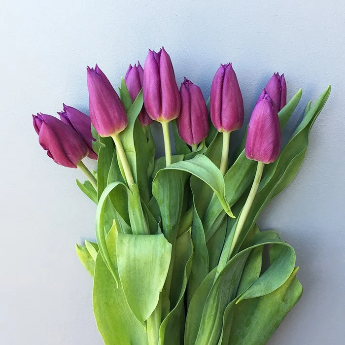 Shop Wholesale Flowers and DIY Floral Supplies | DIY Flower Mart ...
