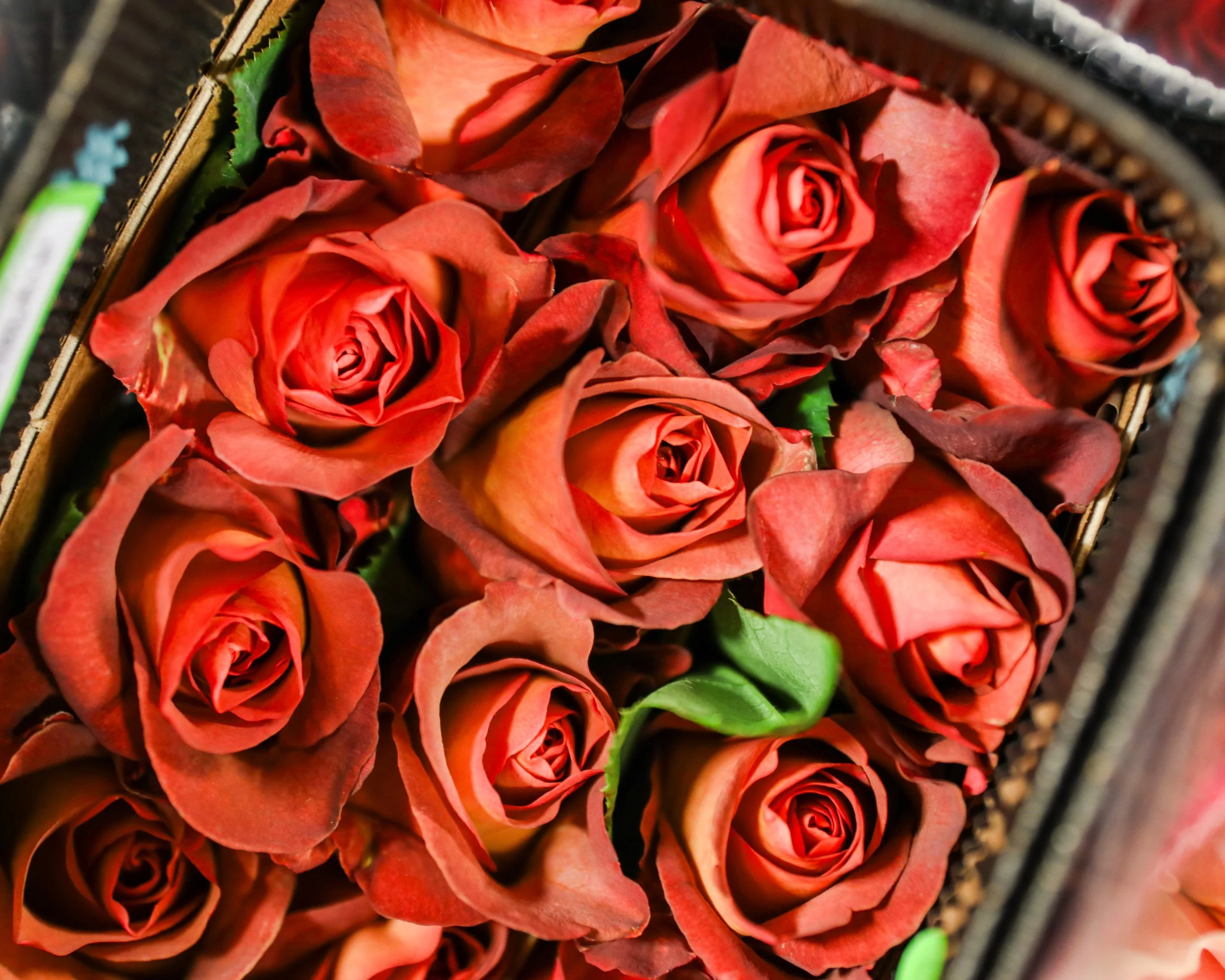 Popular Flowers for Every Occasion | DIY Flower Mart | Orlando, FL