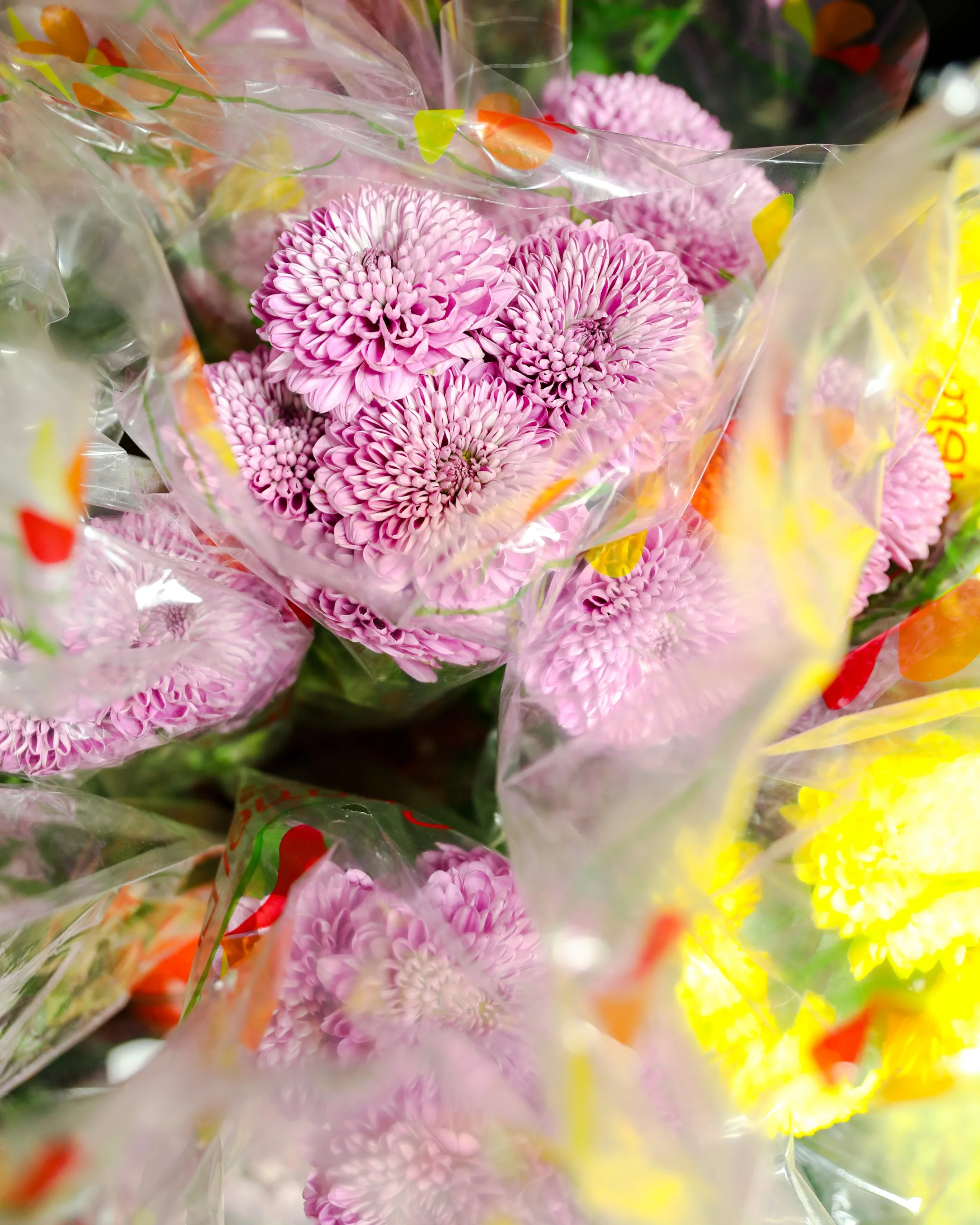 DIY Flower Mart | Shop Wholesale Flowers and DIY Floral Supplies & Hard ...