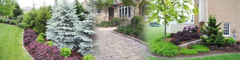 Curbing and Edging — Marshall Stone
