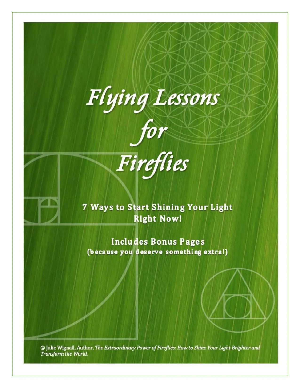 The Extraordinary Power of Fireflies