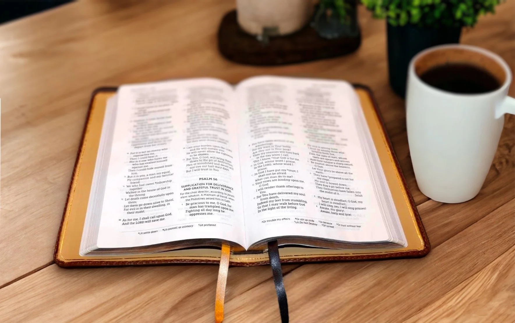 Full Cup Custom Bibles