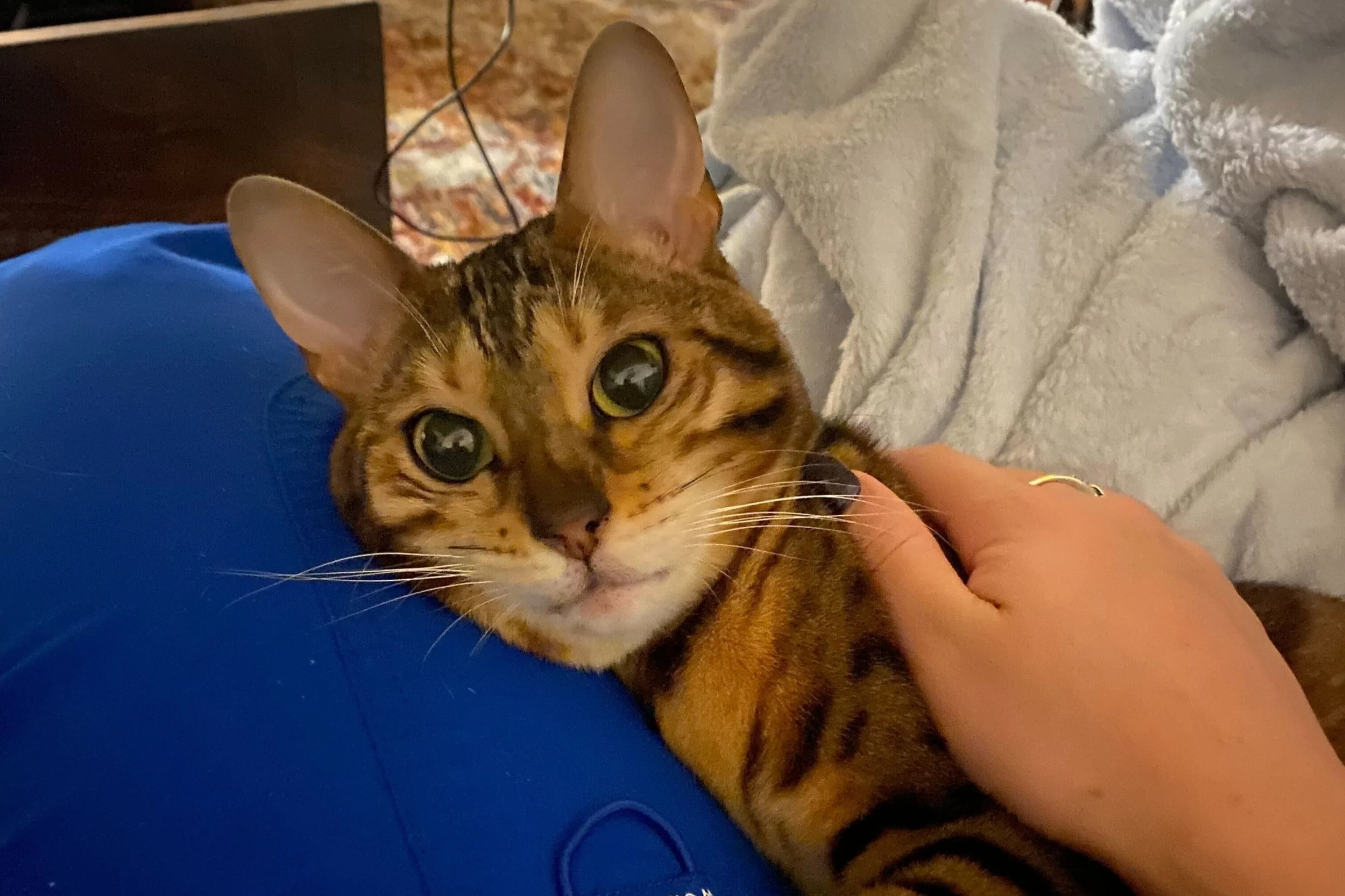 team — The Stucky Lab