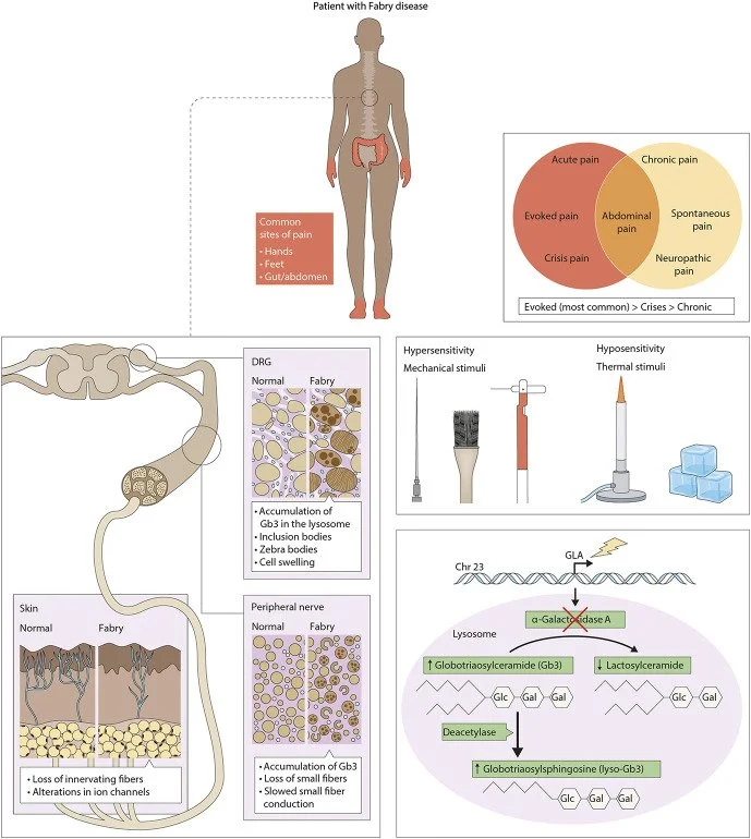 About 4 — The Stucky Lab