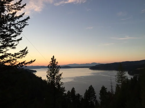 The Ashley Foundation Inc