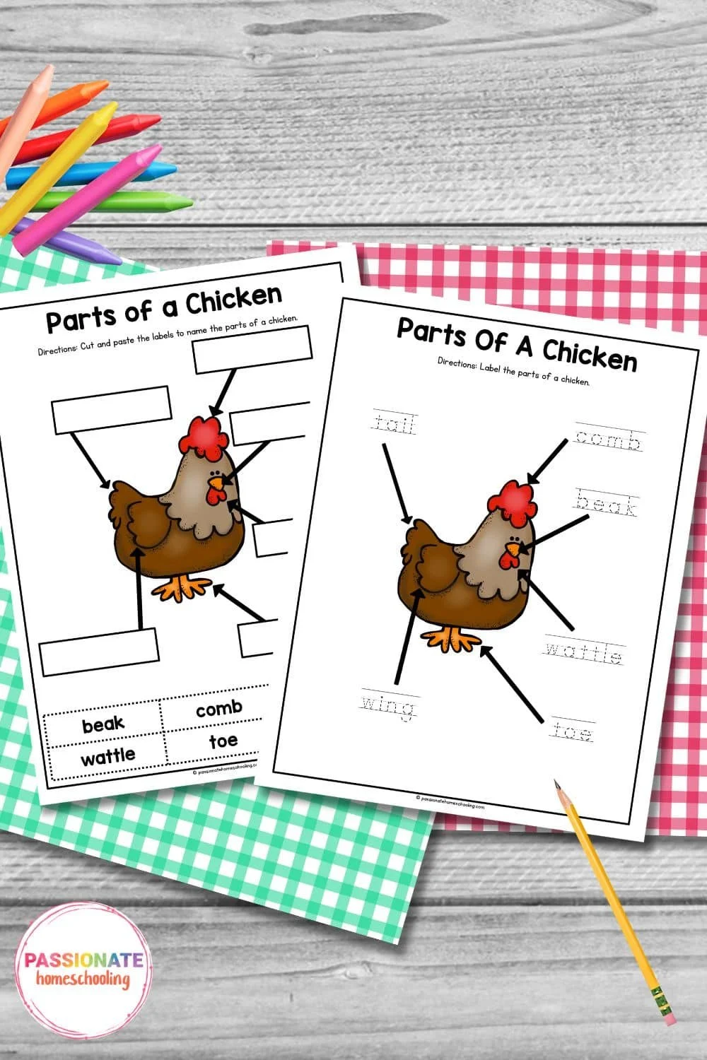 Free Printable Chicken Life Cycle Worksheets — Passionate Homeschooling