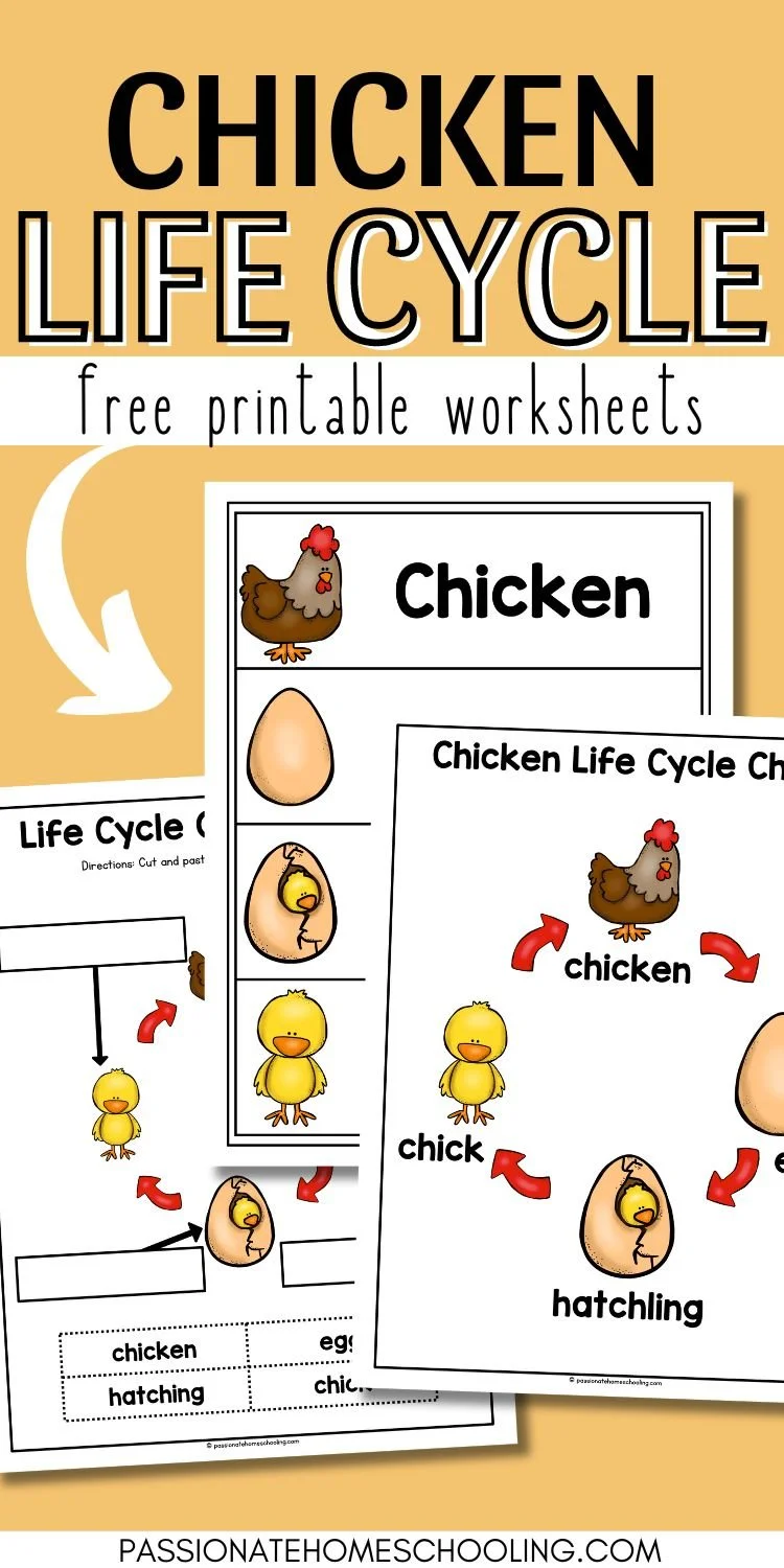 Life Cycle Worksheets Fish Life Cycle Free Worksheet SKOOLGO