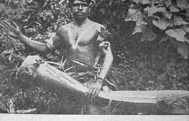 Torres Strait Island Drummer — The Royal Historical Society of Queensland
