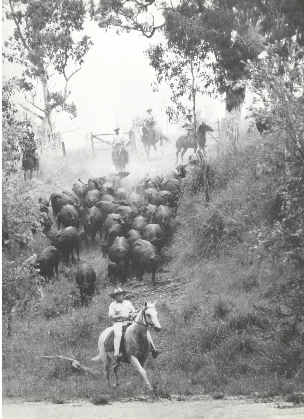 Eidsvold — The Royal Historical Society of Queensland
