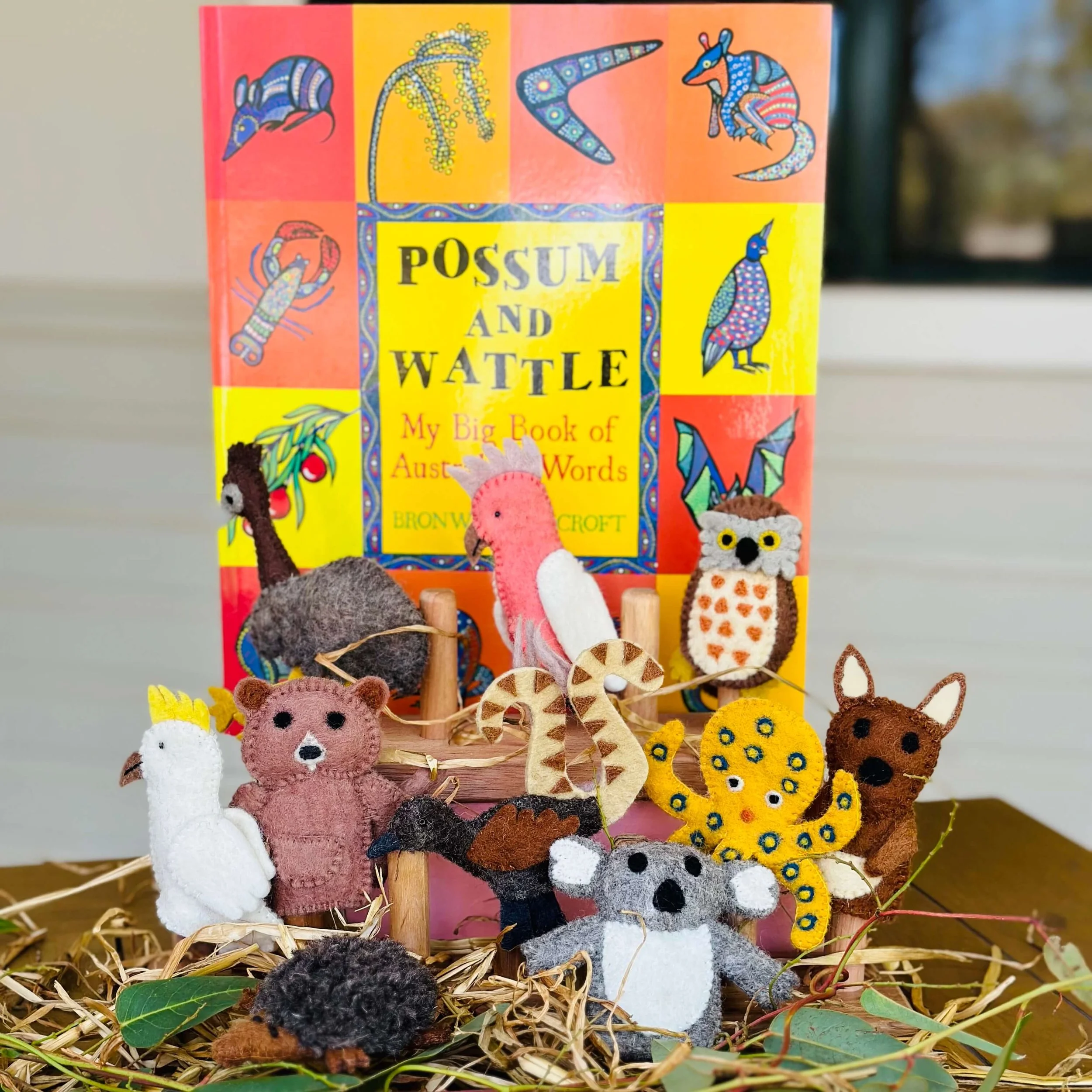 Story Sets — Concepts in Early Learning