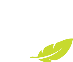 Event Management Services | New Zealand | Australia | Motive Events