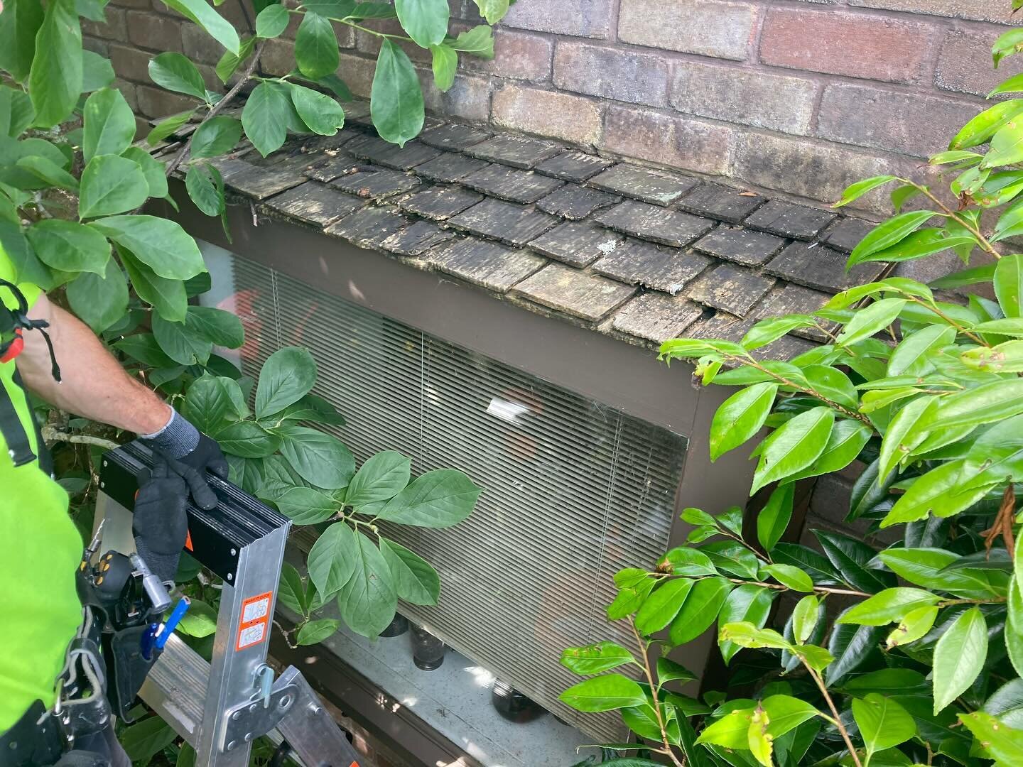 Duck Roofing