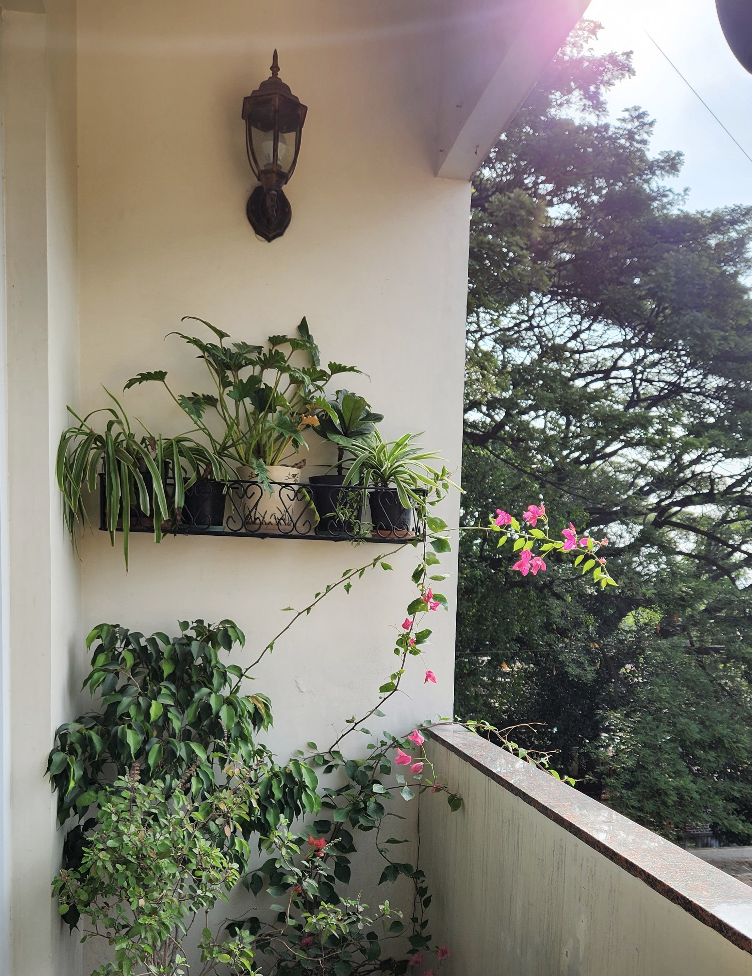 Makers: Arunima Chandra, founder, Dhee Pottery — The Slow Home Project