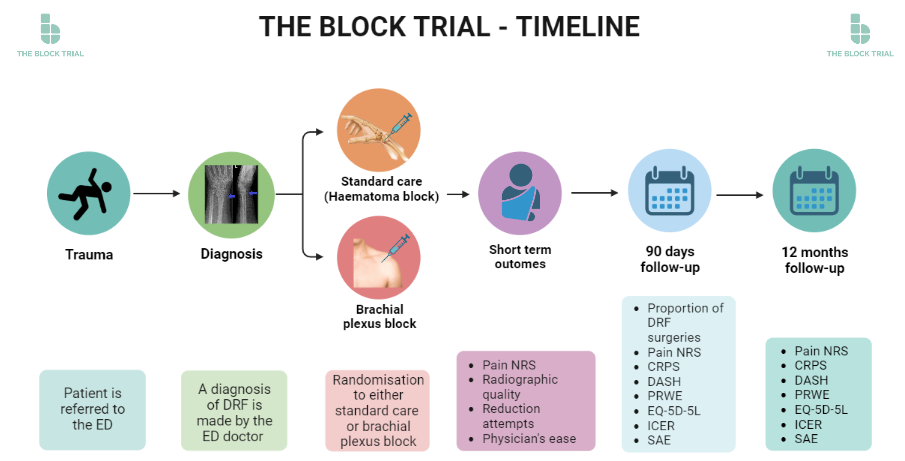 About the BLOCK trial — The Block Trial