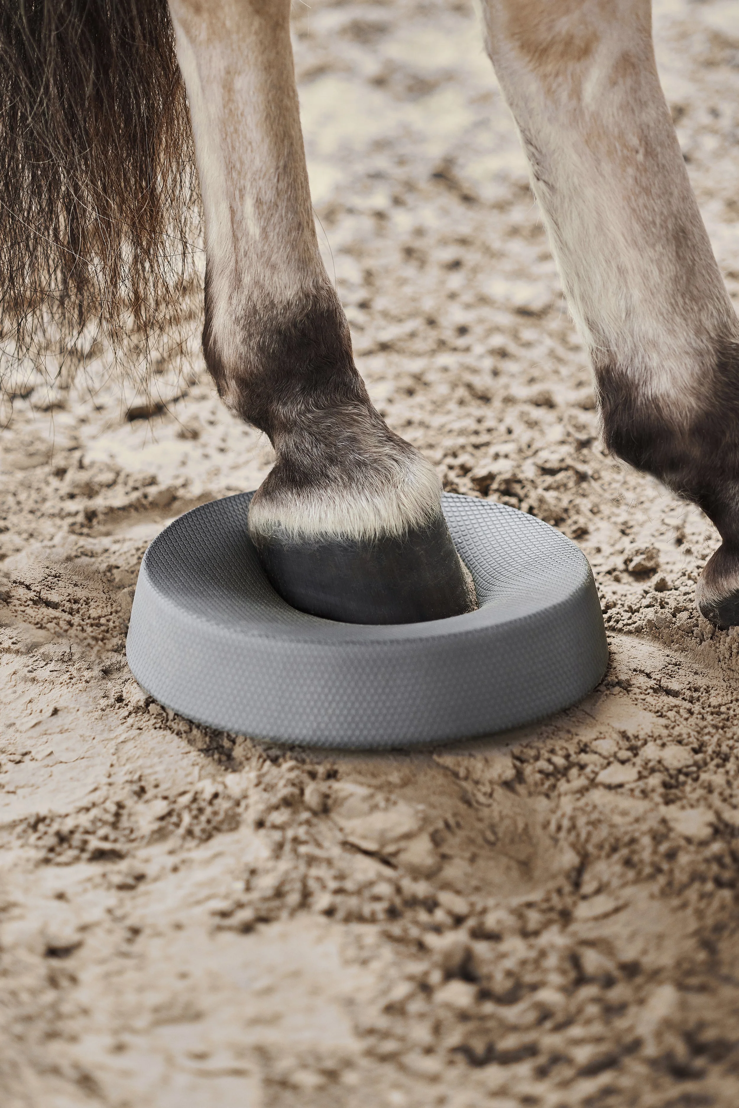 NØRSHOLM EQUESTRIAN