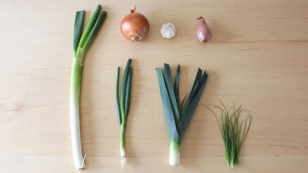 NEGI (Japanese Green Onion) Guide — Okawari by Azusa - easy and simple ...