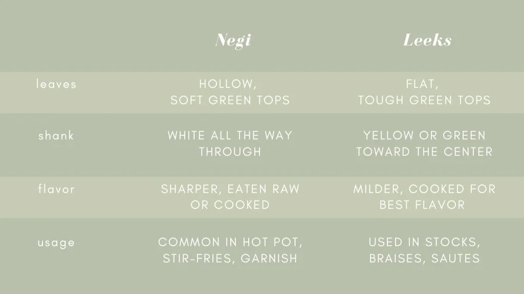 NEGI (Japanese Green Onion) Guide — Okawari by Azusa - easy and simple ...