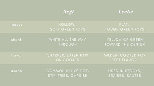 NEGI (Japanese Green Onion) Guide — Okawari by Azusa - easy and simple ...
