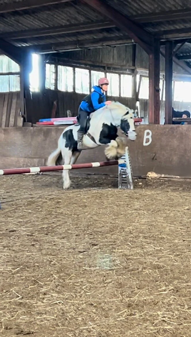 Birtles Equestrian