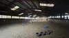 Riding Lessons — Birtles Equestrian