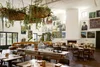 Spier Hotel Interior Design | Fusion Design and Architecture | London UK