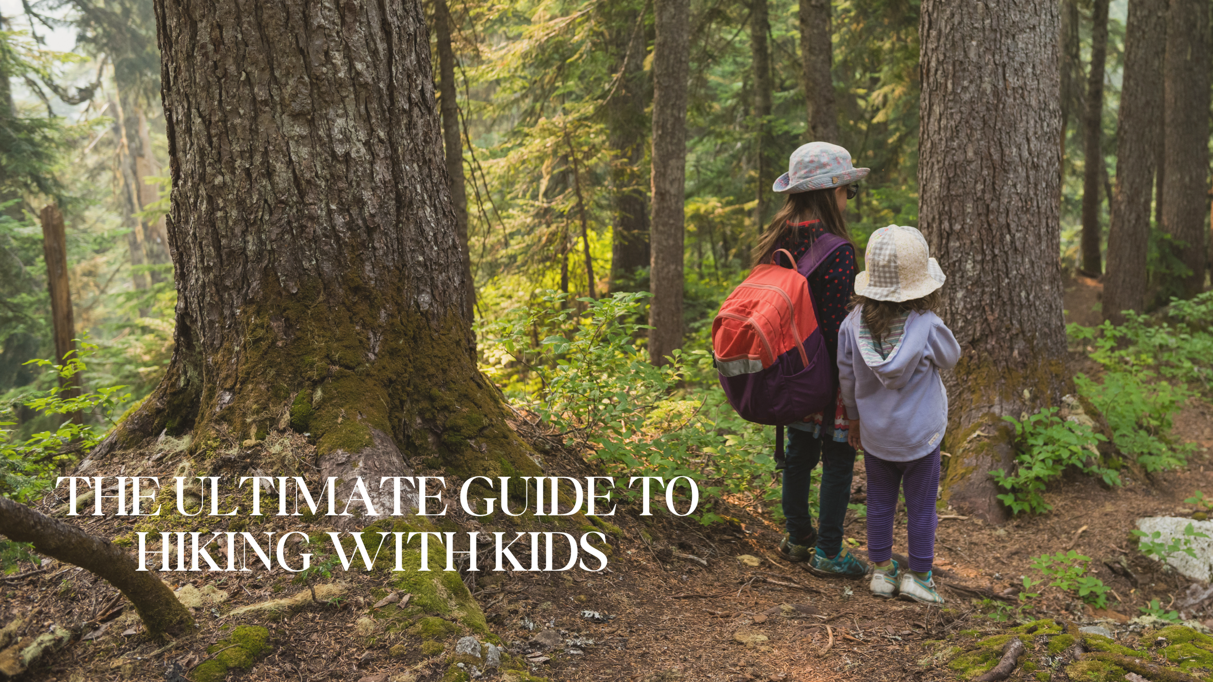 The Ultimate Guide to Hiking with Kids — Among the Fairies