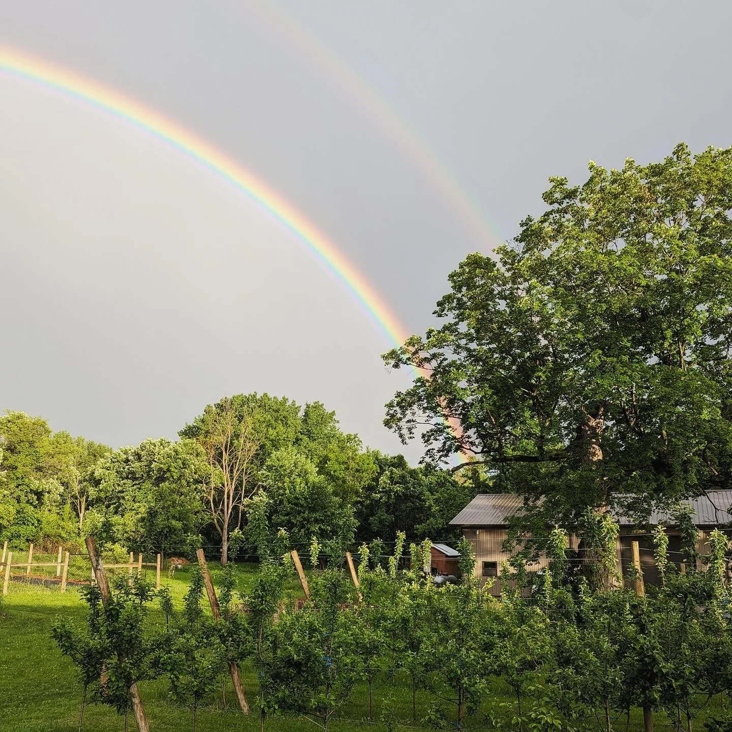 Paha Cider | Handcrafted Iowa Cider