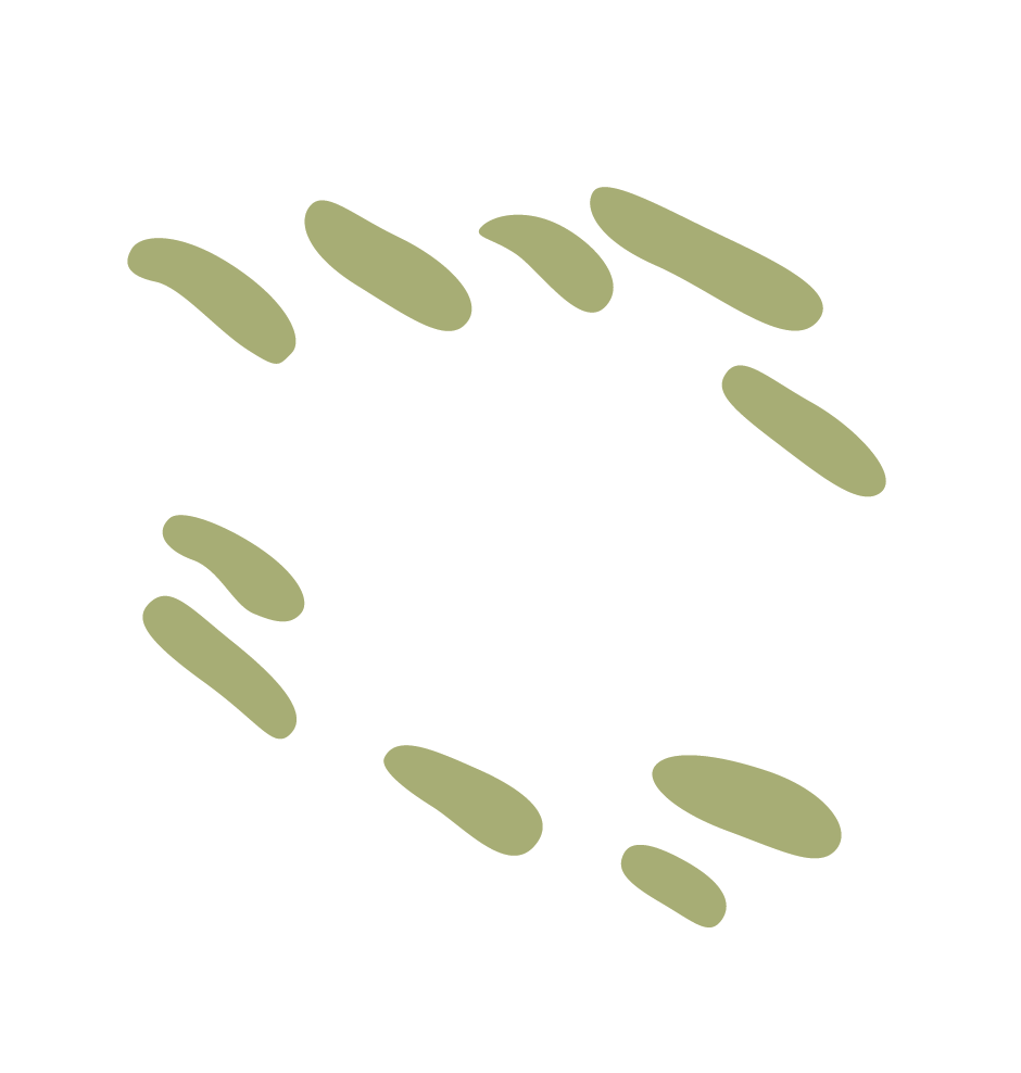 Cider Finder — Paha Cider