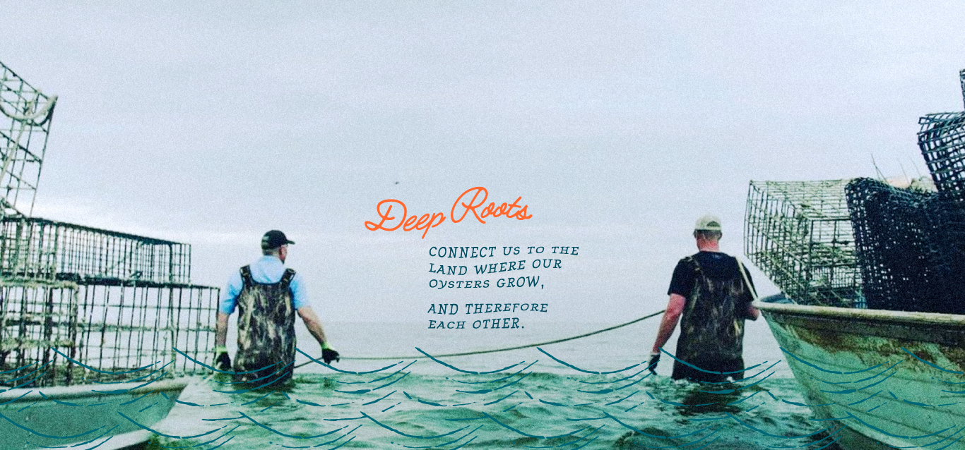 Dancing Molly Oyster