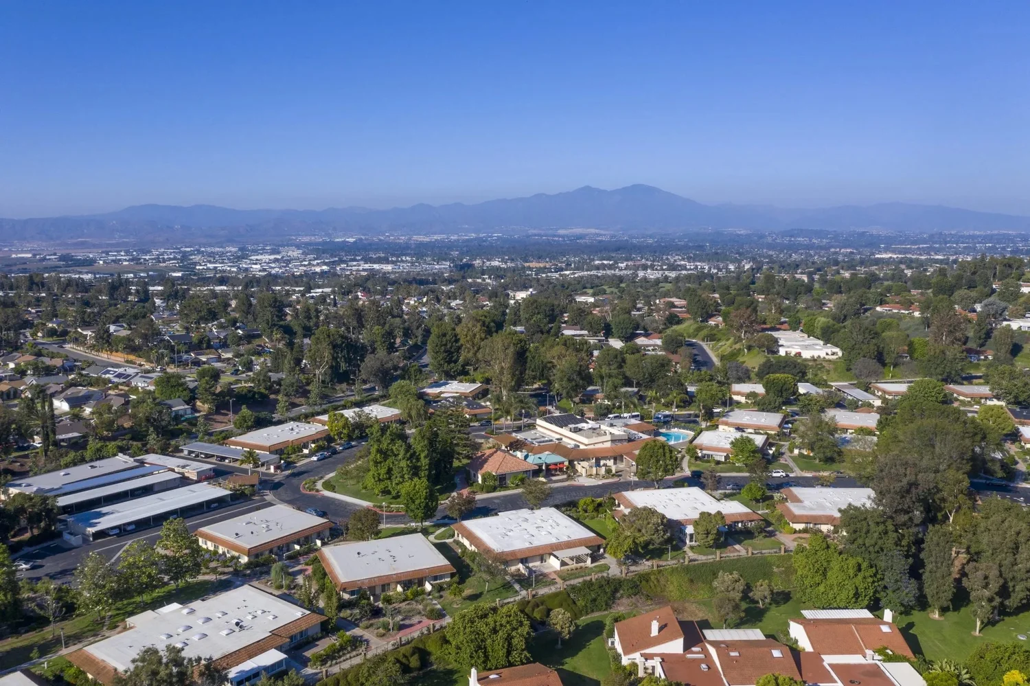 The Willows Foundation — Residential Homes for Christian Scientists