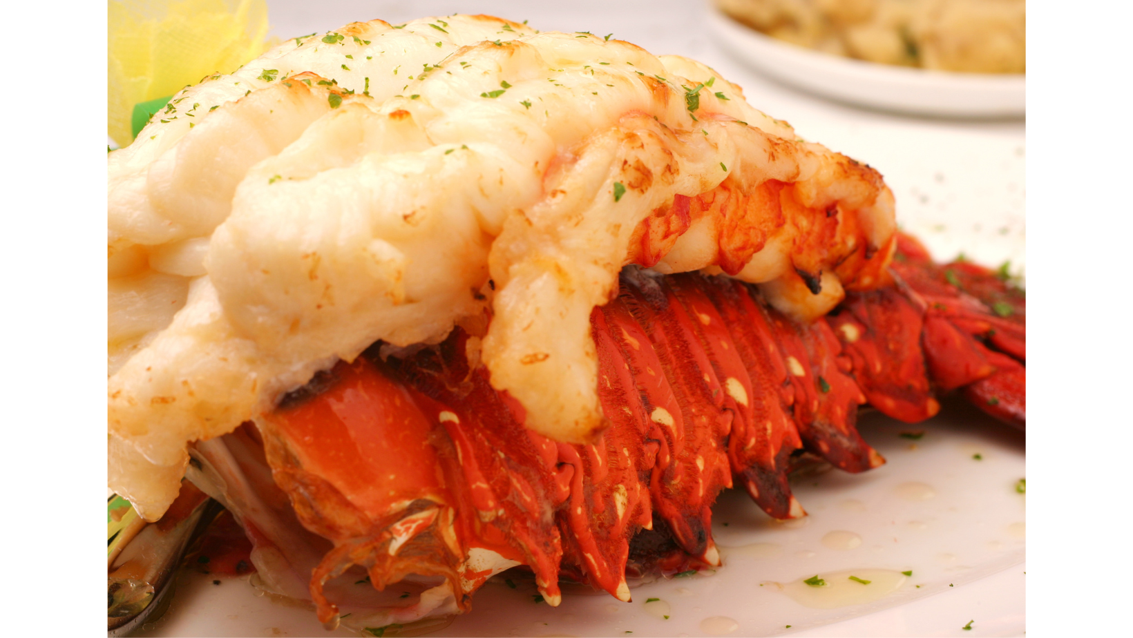 How to Sous Vide Eggs: Mastering the Art with the Best Sous Vide Circulator — Chef Chris Lee