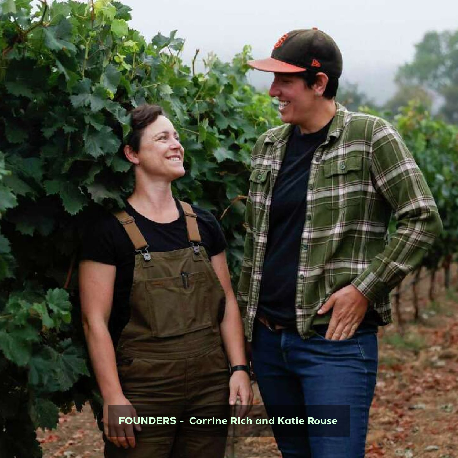 Birdhorse Wines is a woman-owned winery known for its innovative wines ...