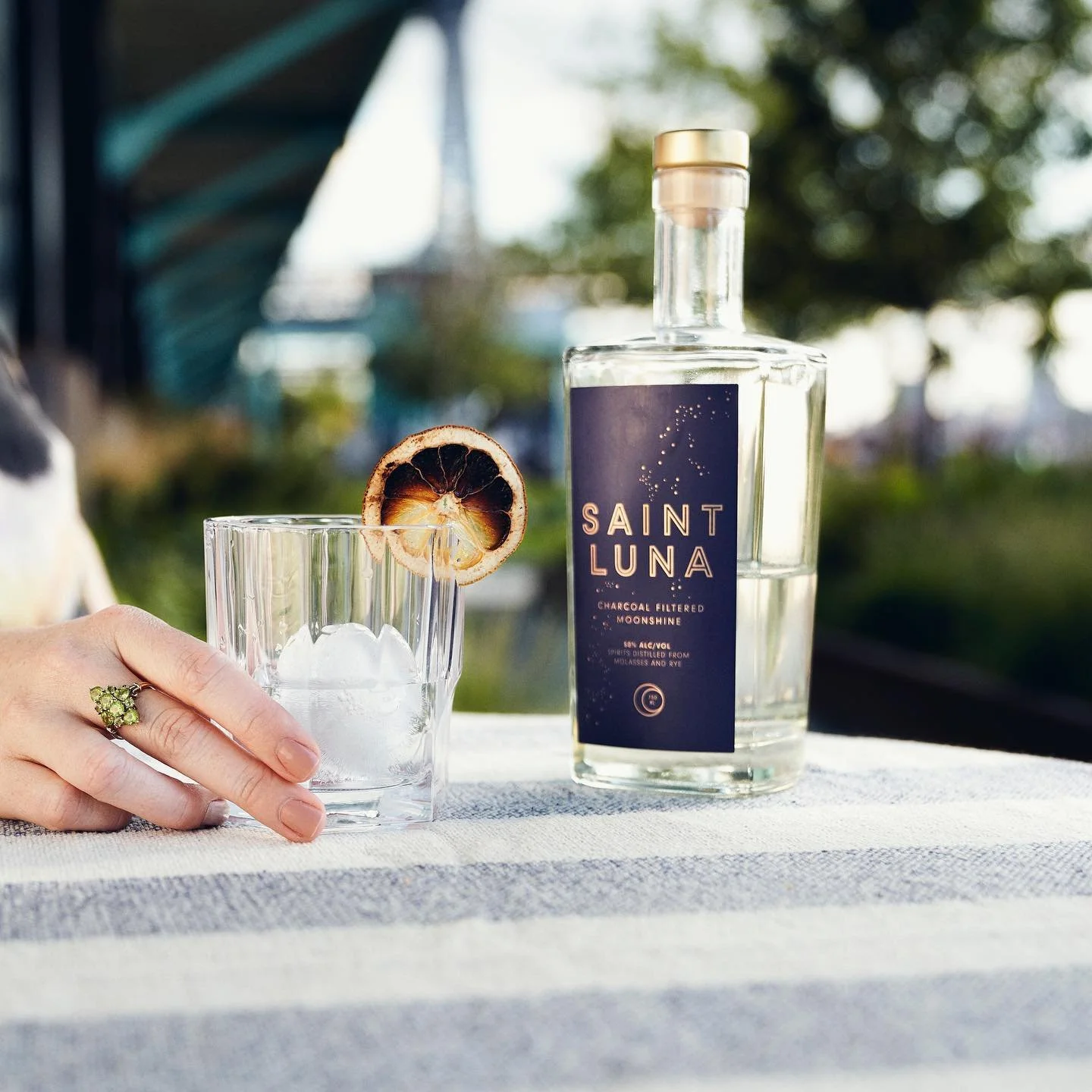 Founder Interview With David Suk, Saint Luna Spirits — Hey Famm