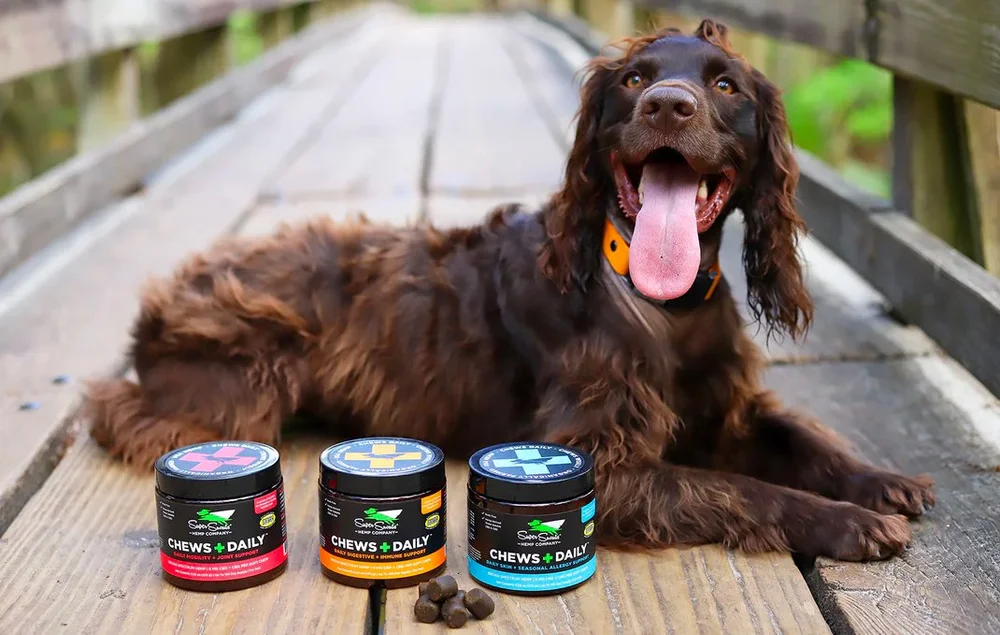 Founder Interview With Christy Love, Super Snouts — Hey Famm