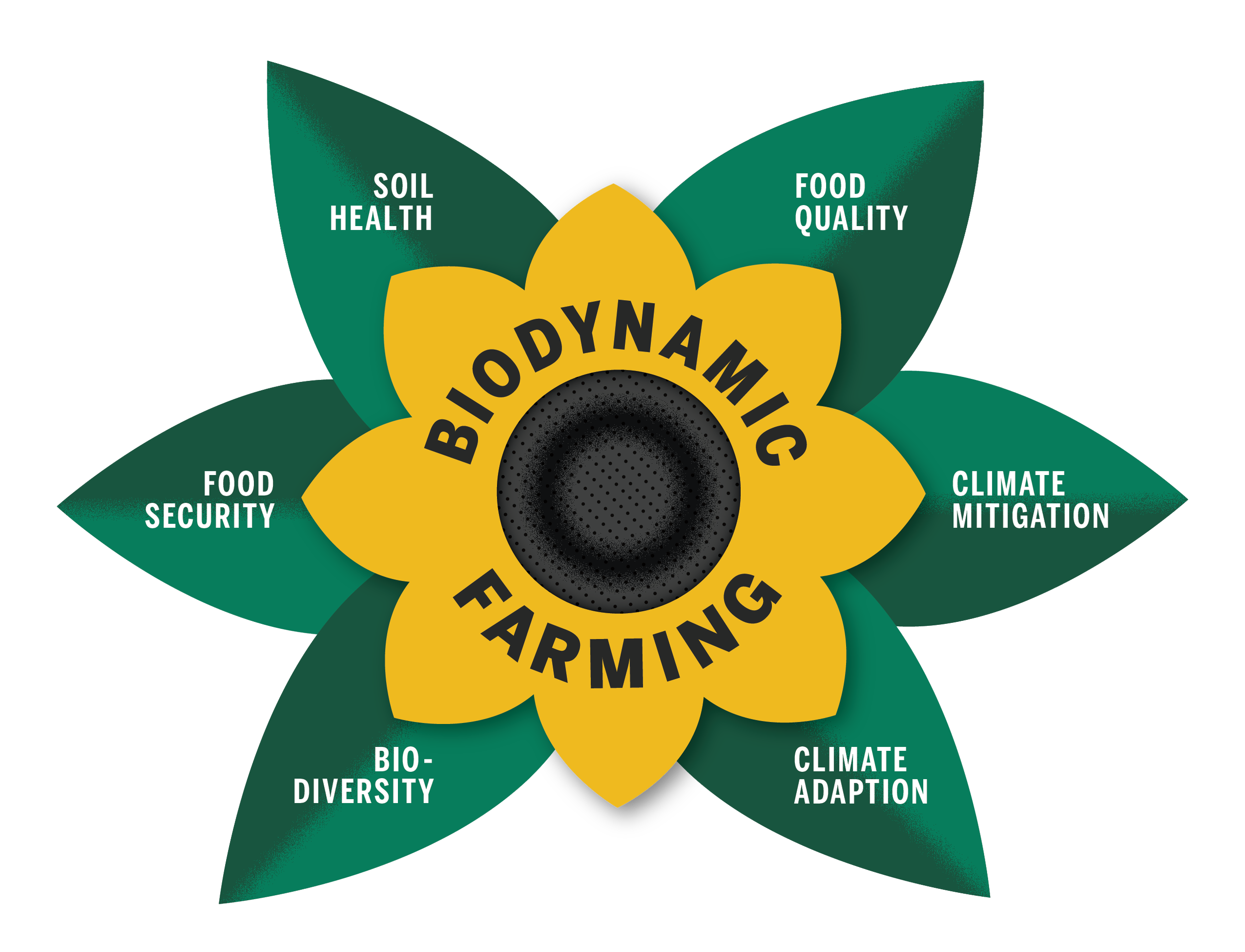 Walnut Street Market