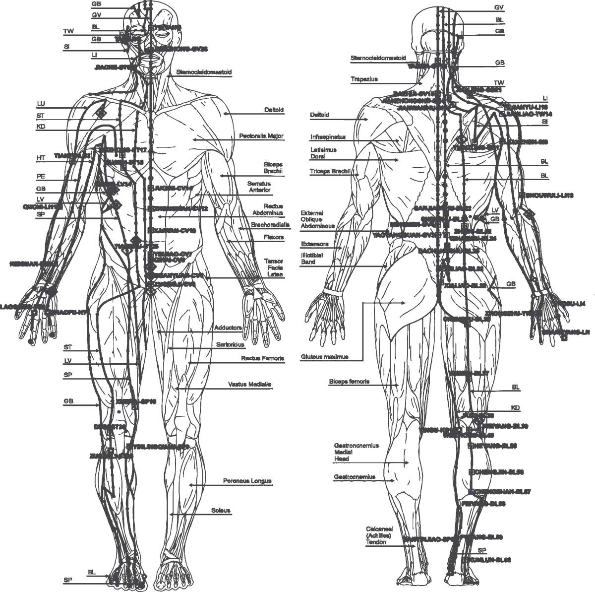 Natural Health Houston