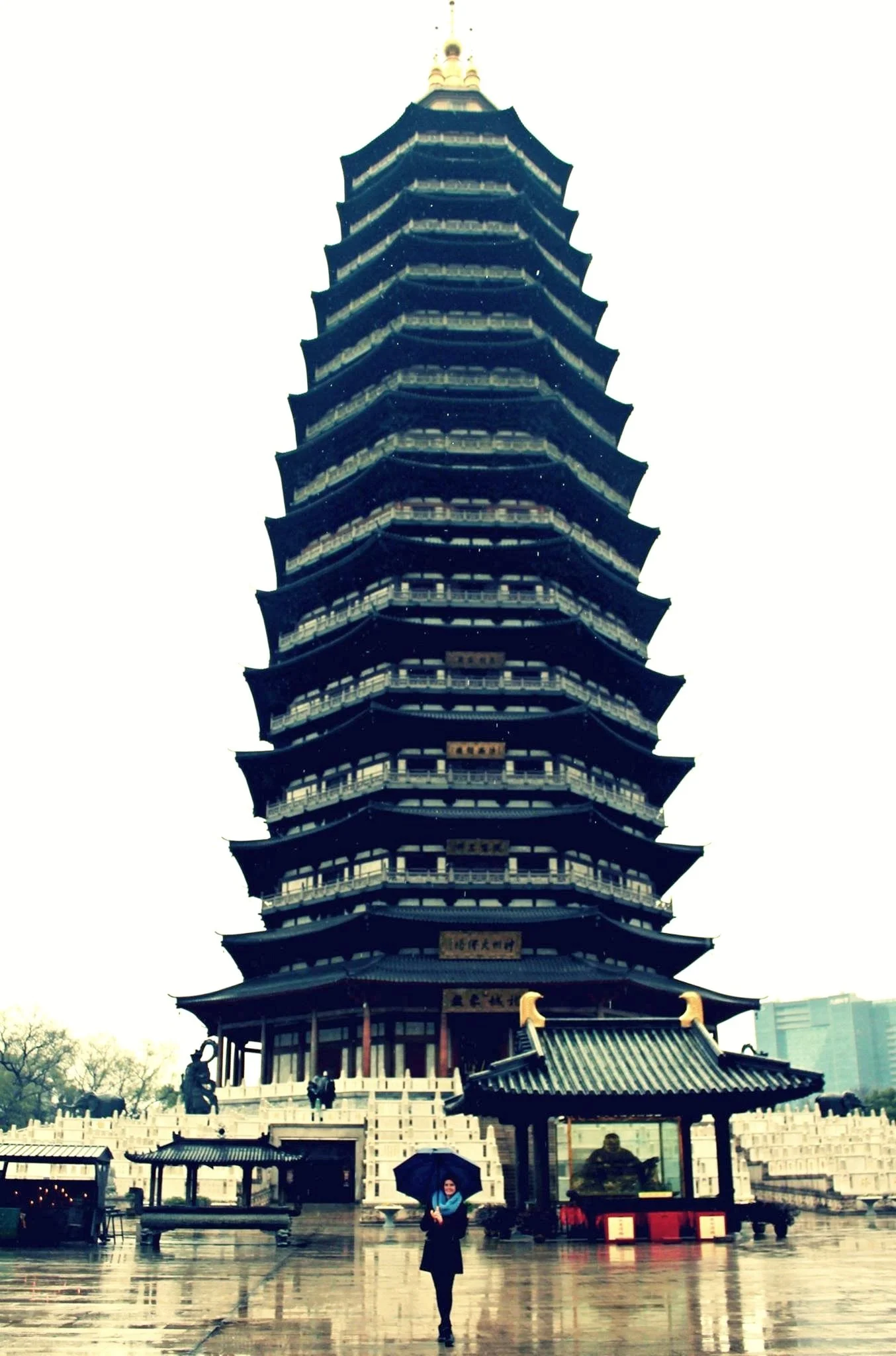 Chinese Medicine Galway | Ostara Clinic - About Tara Barden