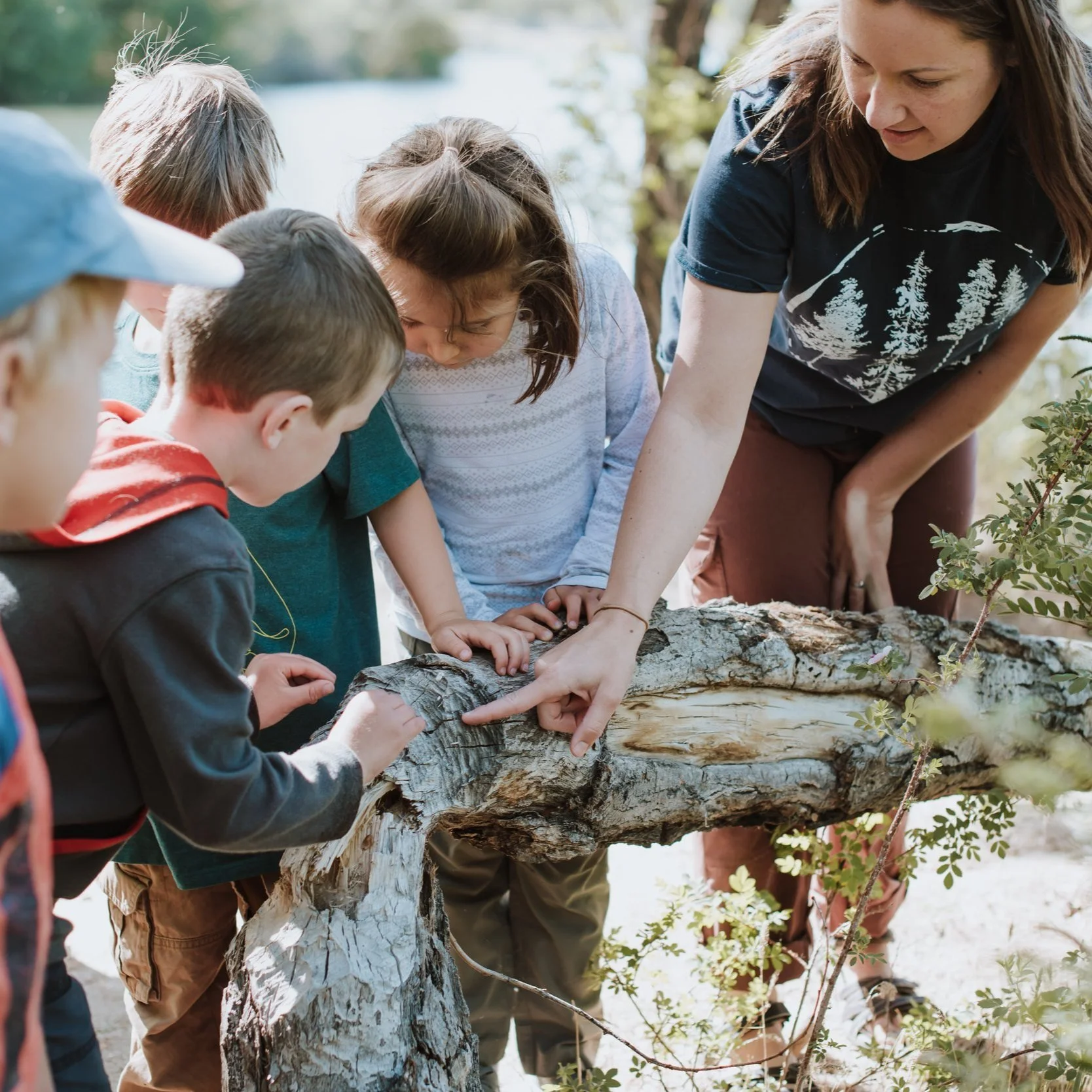 EverWild Forest School