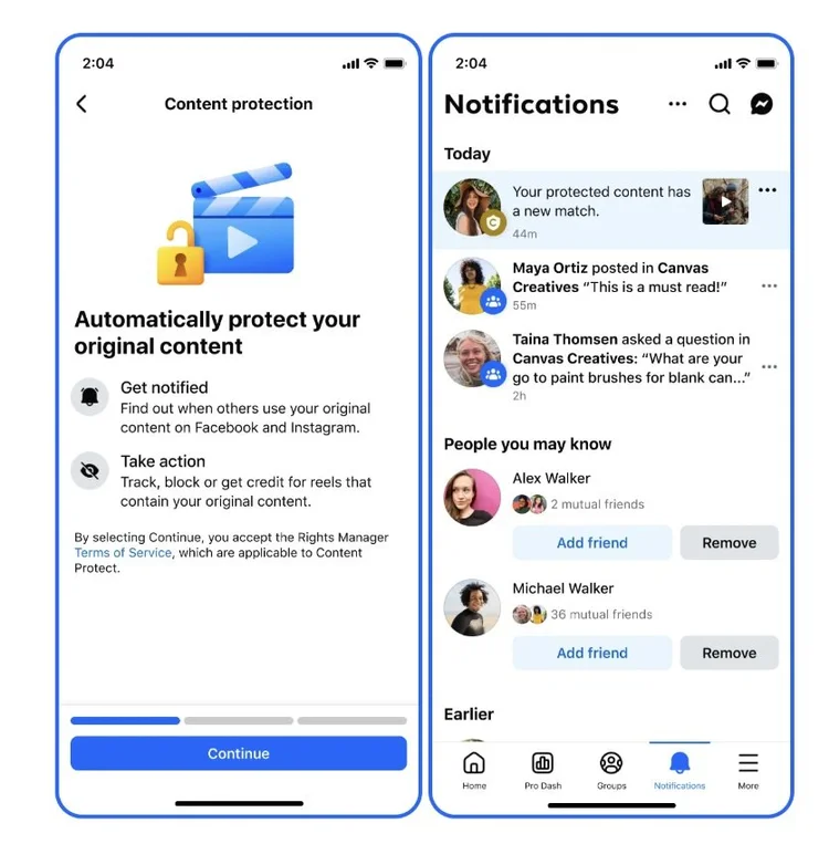 Facebook Content Protection 2025: Protect Your Original Reels on Facebook & Instagram — Lindsey ...