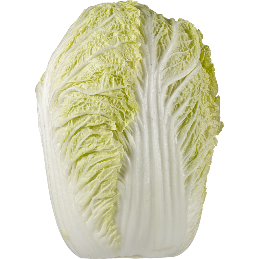 Cabagges.World | Cooking, Vibing, Eating in NYC