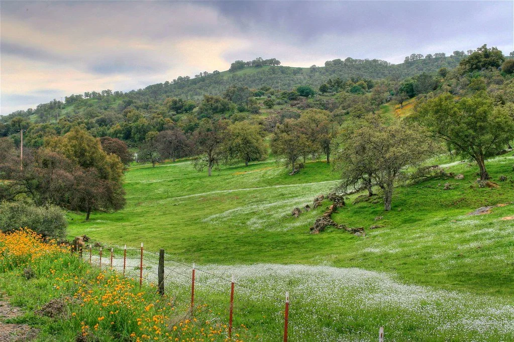Foothills United Methodist Church in Rescue, CA