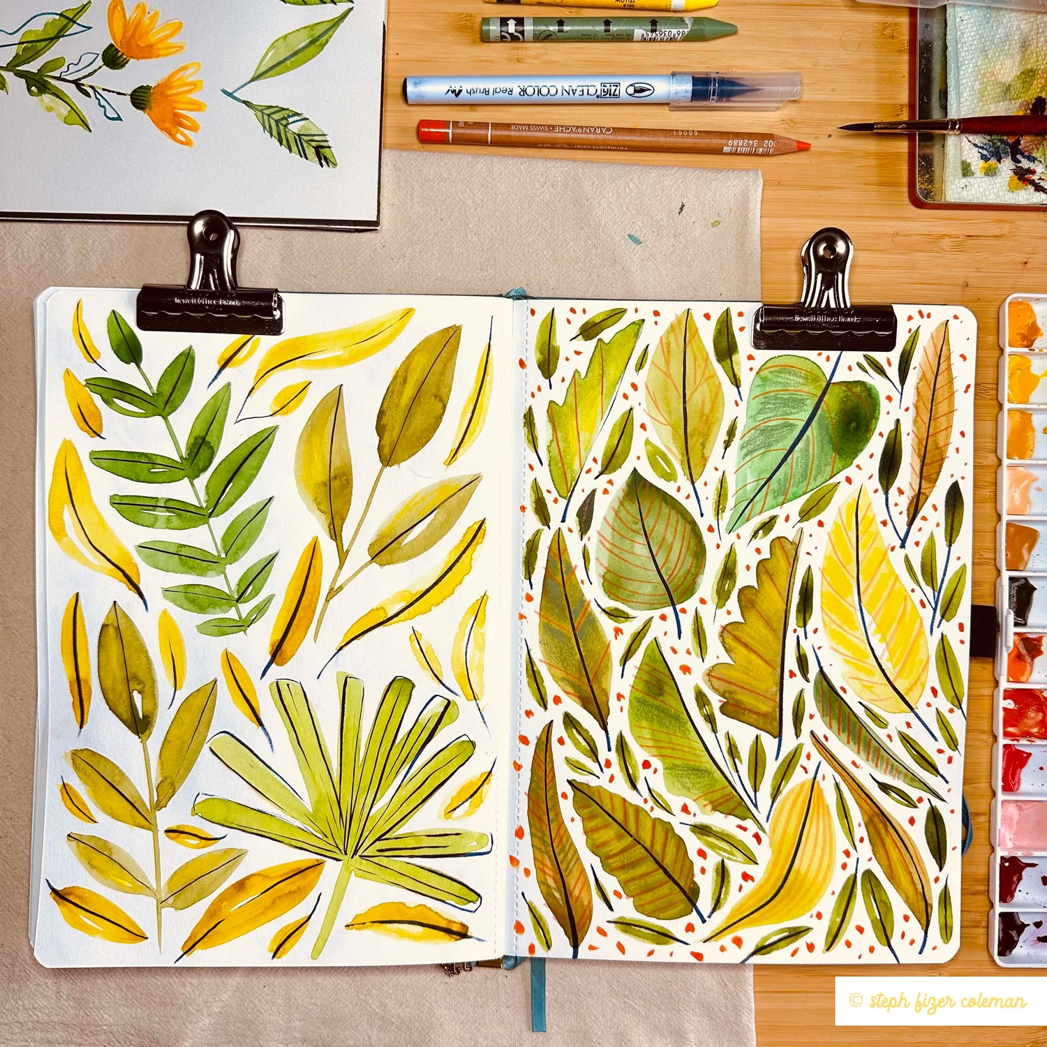 Sketchbook — Steph Fizer Coleman - bird artist and illustrator