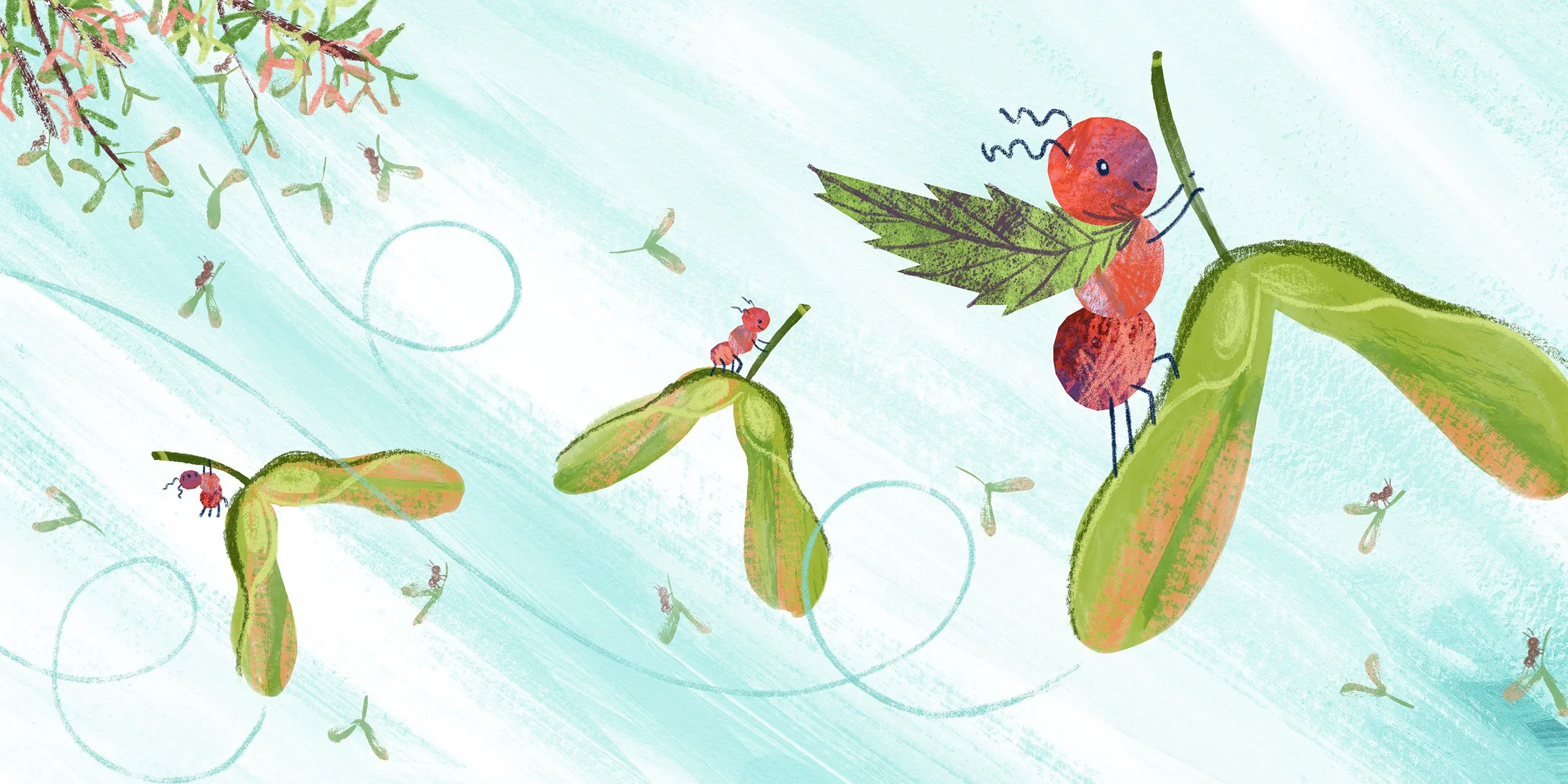 Steph Fizer Coleman - bird artist and illustrator