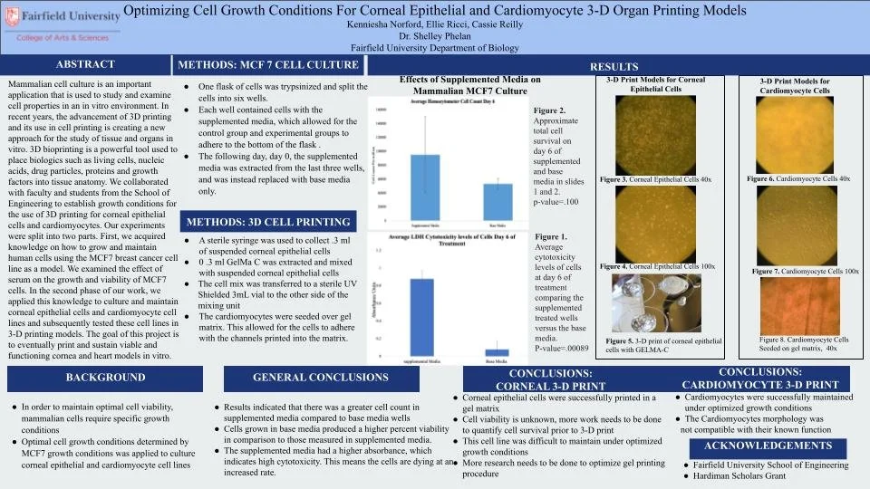 Elizabeth Ricci Research Portfolio